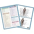 Chiropractic ICD-10-CM Cheat Sheet for 2023: InnoviHealth, Chirocode ...