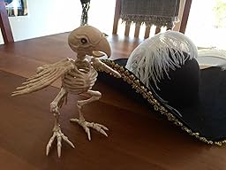 Amazon.com: Crazy Bonez Skeleton Parrot: Toys & Games