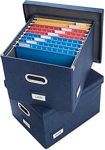 Amazon.com : Prandom File Organizer Box - Set of 2 Collapsible ...