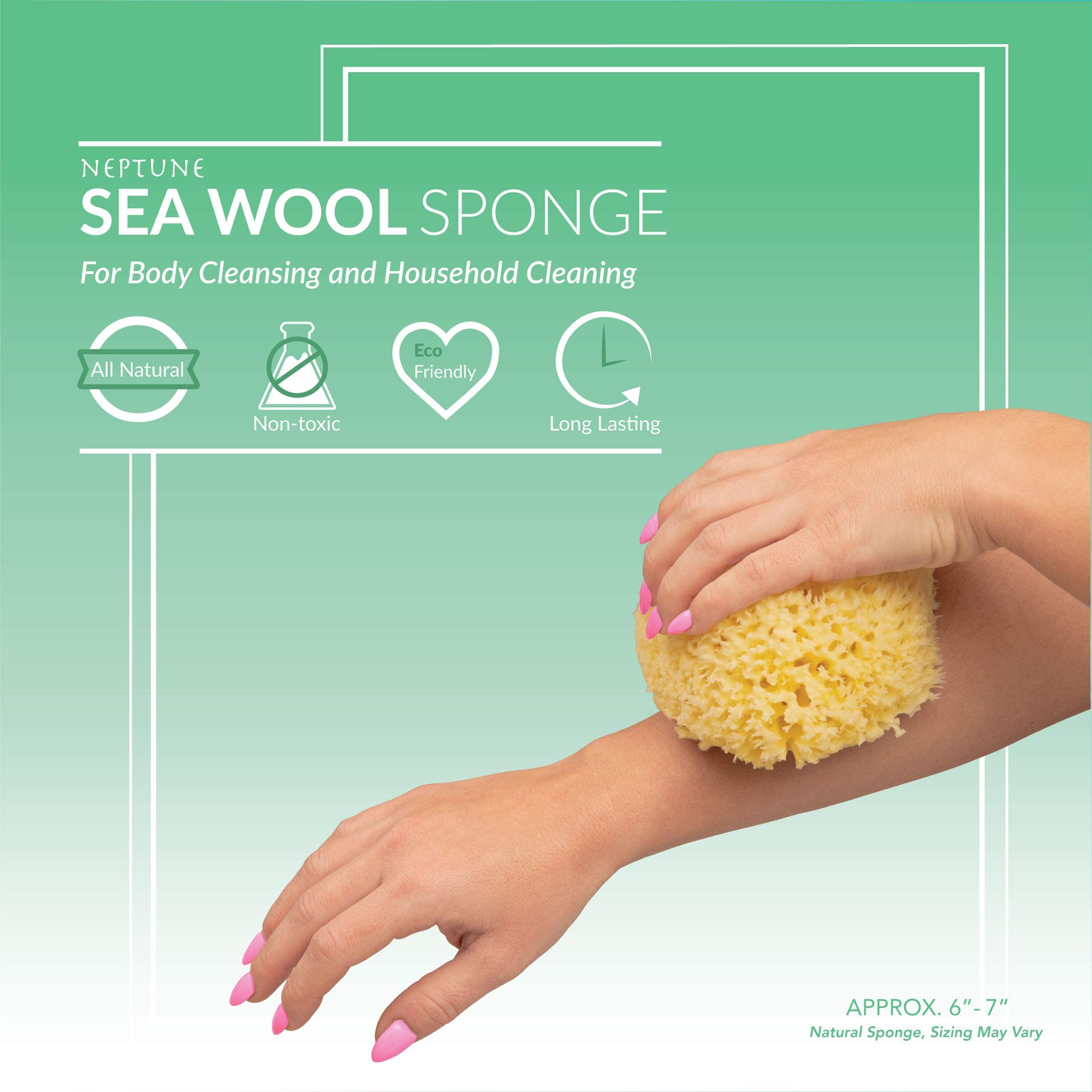 Mua Sea Wool Sponge - All Natural Honeycomb Renewable Sea Sponge, Jumbo, Approx. 7 Inches trên ...