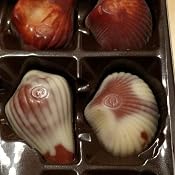 Amazon.com : Guylian Belgian Chocolate Seashells (250g) - Pack of 2 ...