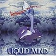 Liquid Mind, Chuck Wild - Ambience Minimus - Amazon.com Music