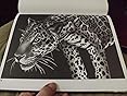Amazon.com: Intricate Ink: Animals in Detail Volume 2: A Coloring Book ...