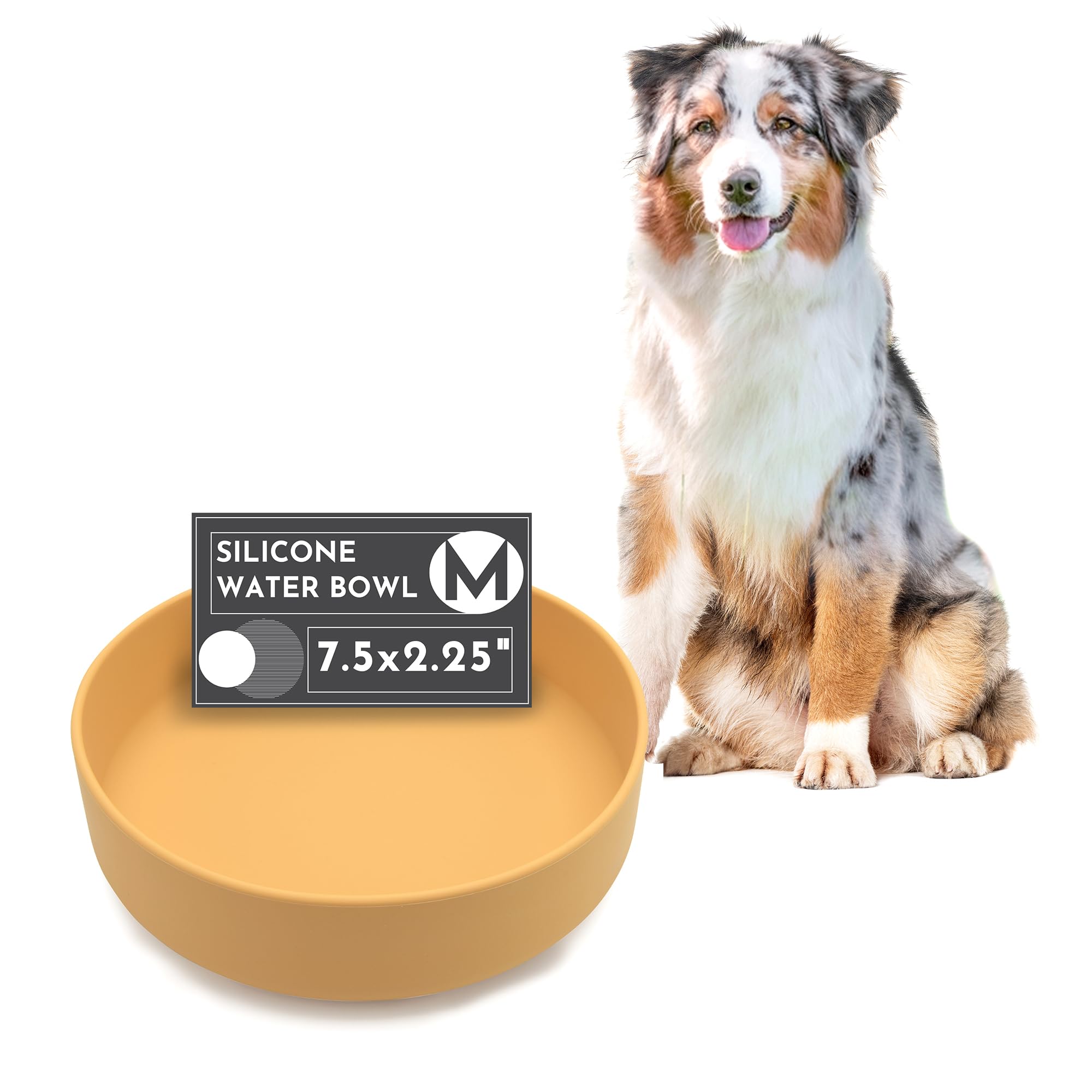 Should We Go? The Perfect Dish - Durable Dog Water Bowl - No Spill ...