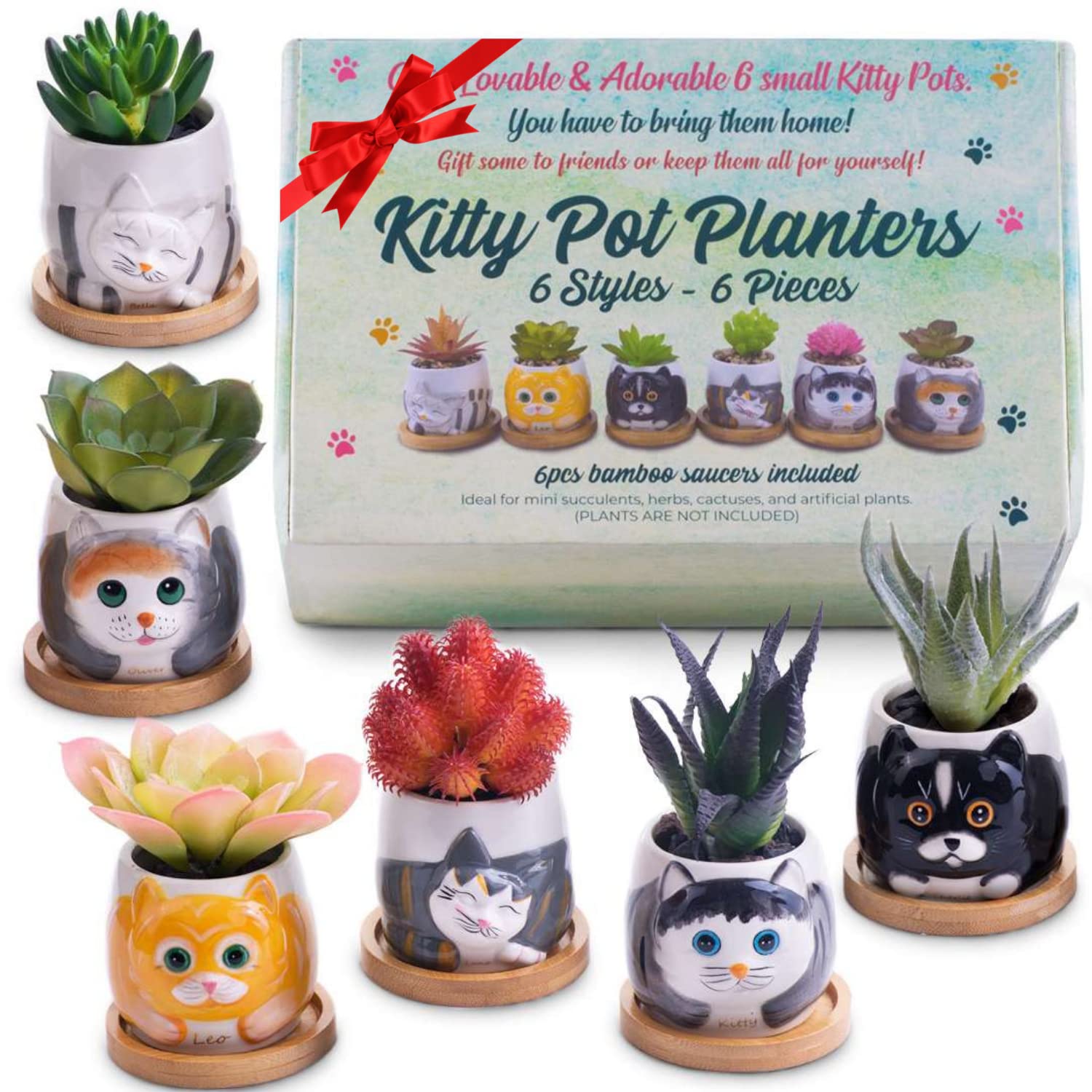 6 Pcs Ceramic Succulent Pots with Unique 3D Hand-Painted Cat Faces ...