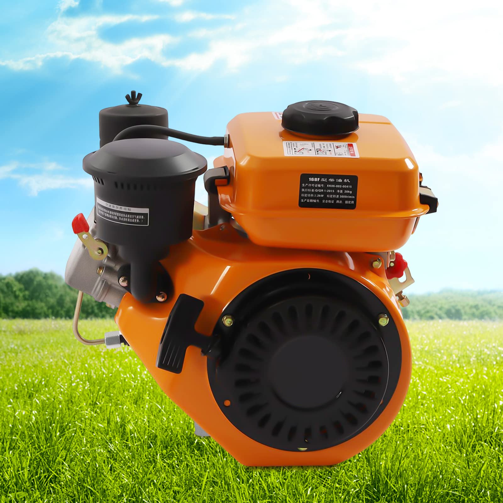 Mua Futchoy 196CC 4-Stroke 3HP Diesel Engine Single Cylinder Forced Air ...