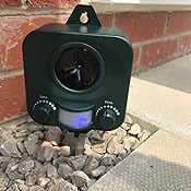 Pestbye® Battery Operated Motion Activated Waterproof Cat Repellent ...