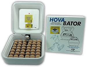Amazon.com: HovaBator Genesis 1588 Advanced Egg Incubator Combo Kit ...