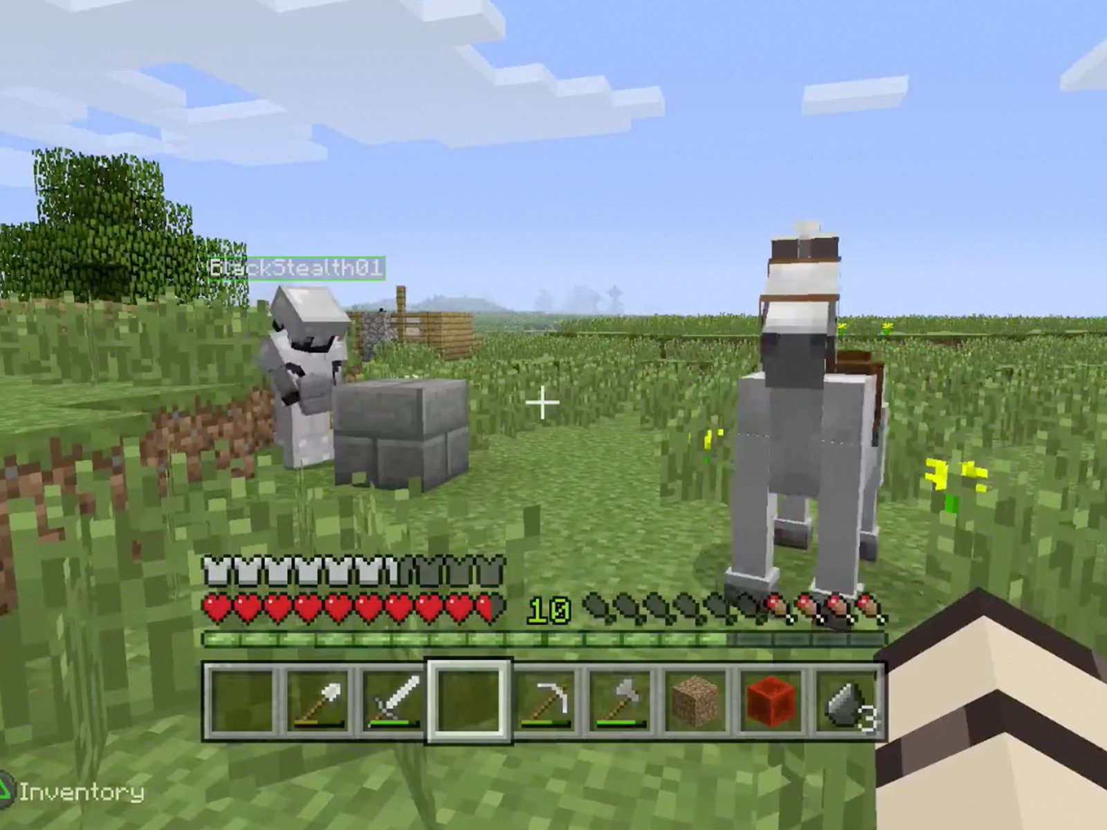 Watch Clip: Sneaky Stripes (Minecraft Gameplay) - Zebra Gamer | Prime Video