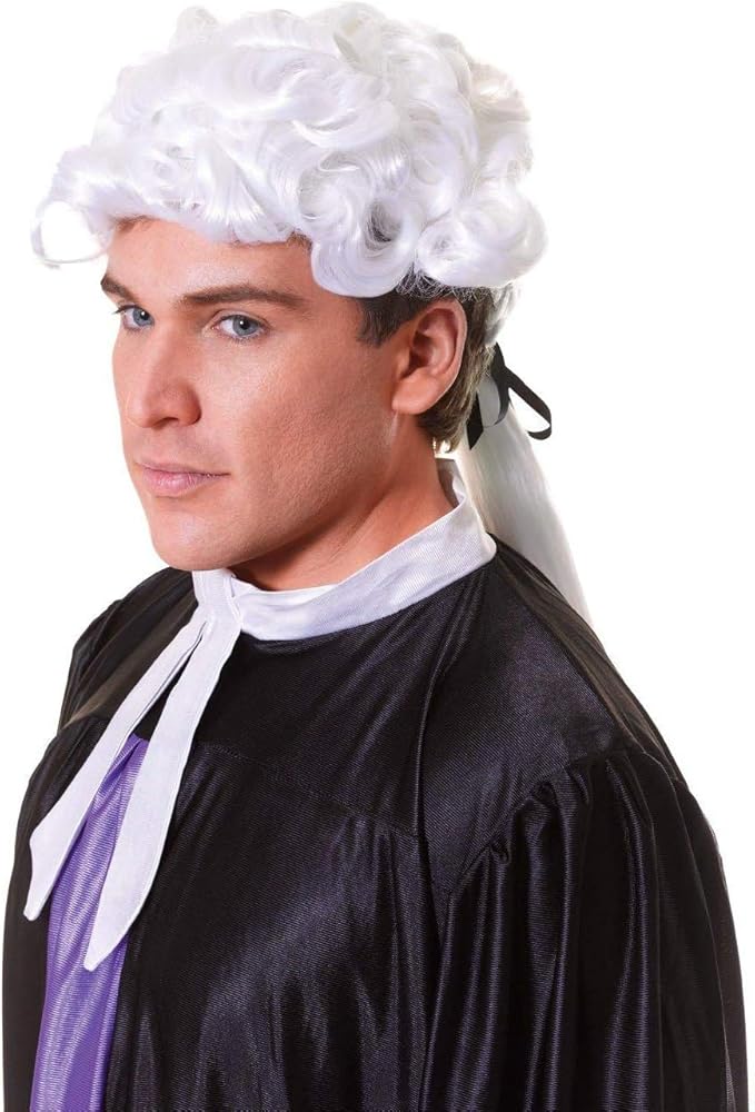Bristol Novelty Unisex Adults Court Wig: Amazon.co.uk: Clothing