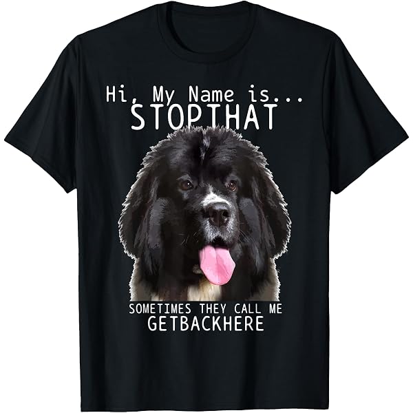 Newfoundland Dog Memes