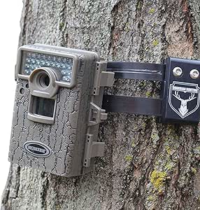 Amazon.com: Trail Camera Lock by Guardian - Game Cam Tree Mount Holder ...