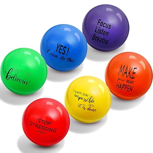 Skylety 2.5 Inche Motivational Inspirational Stress Balls for Adults ...