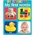 Baby Basics My First Words: Roger Priddy: 9780312513184: Amazon.com: Books