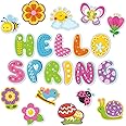 Amazon.com: Hello Spring Cut-Outs Spring Flower Cut Outs Bulletin Board ...