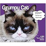 Grumpy Cat Year-in-A-Box (2019): Year-in-A-Box: 0680392741981: Amazon ...