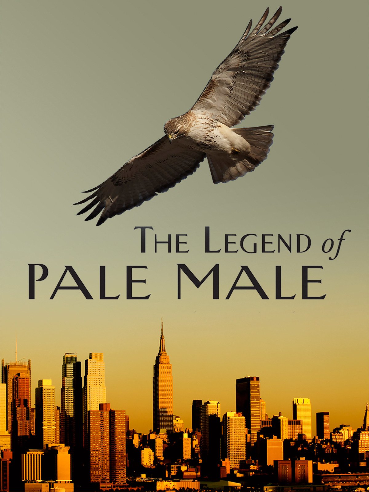 Watch The Legend of Pale Male | Prime Video