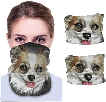 Chihuahua Art Long-Haired Dog Unisex Adult Face Mask 2 Pack Neck Gaiter ...