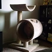 Amazon.com : Molly and Friends "Loft and Round Premium Handmade 2-Tier ...