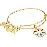 Amazon.com: Alex and Ani Path of Symbols Expandable Bangle for Women, Wave Charm, Rafaelian ...