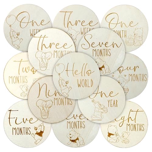 Winnie Baby Monthly Milestone Marker Discs Baby Announcement Sign ...