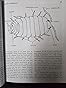 Isopod Zoology: Biology, Husbandry, Species, and Cultivars: McMonigle ...