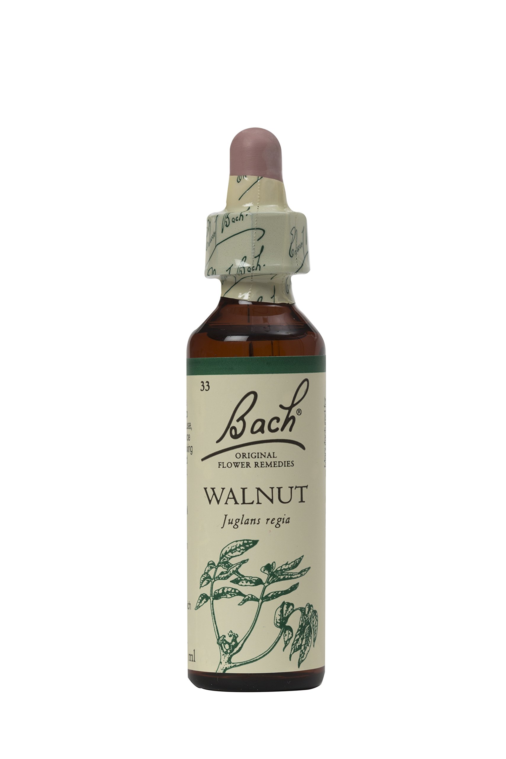 Amazon.com : Bach Original Flower Remedies - Holly 20mls (Ilex ...