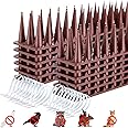 Amazon.com : GOKU 12-Pack Pigeons Bird Spikes for Outside with 20 Cable Ties, Birds Deterrent ...