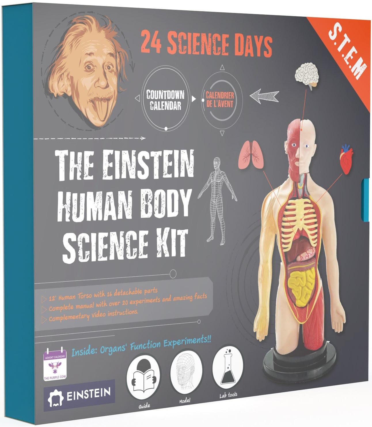 Mua Einstein Human Body Science Kit : unique and original 24 S.T.E.M ...