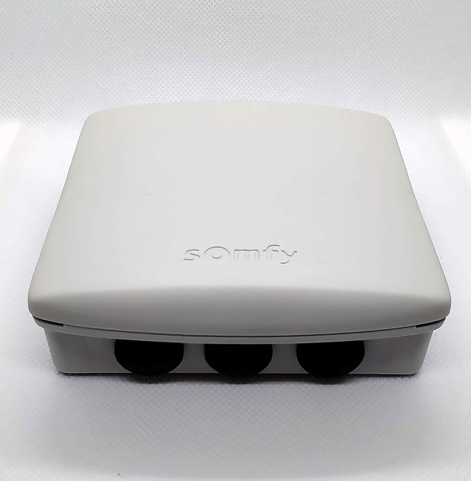 Somfy Universal Receiver RTS Ref. 1841102: Amazon.co.uk: Lighting