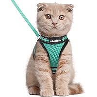 Pet Supplies : rabbitgoo Cat Harness and Leash Set for Walking Escape ...