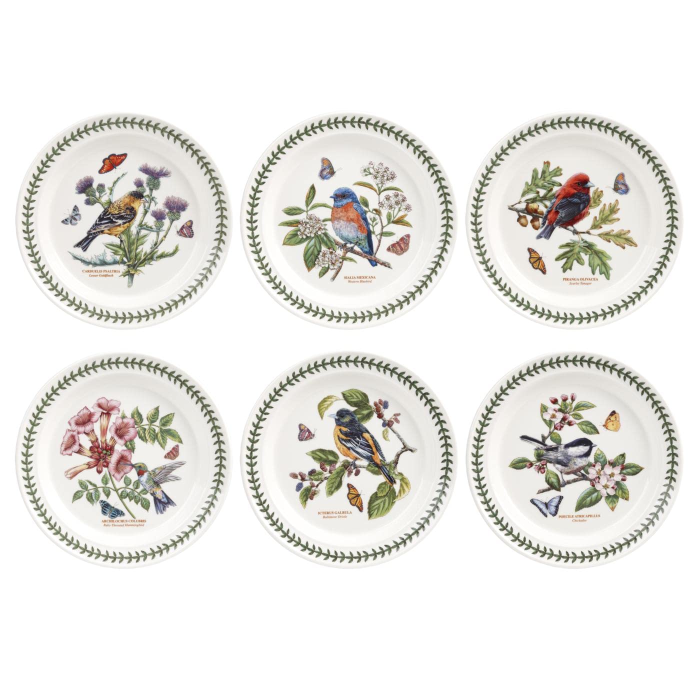 Portmeirion Botanic Garden Birds Collection Dinner Plates | Set of 6 ...