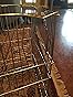 Amazon.com : Combo: Large Galvanized Stack and Lock Double Breeder Cage ...