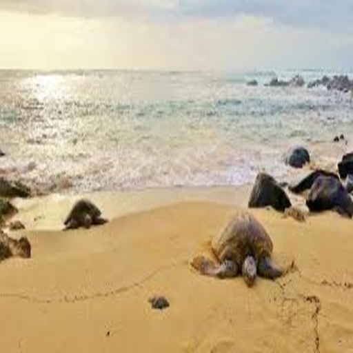 Kolavi Palam Beach : Amazon.com.br: Apps e Jogos