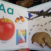 Amazon.com: My First ABC Board Book (My 1st Board Books) (0635517099003 ...