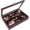 Amazon.com: FramePro Rock Display Case, Rock Collection Display Case ...