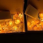 Festive Lights Sea Shell Fairy Lights - Battery Operated - 10 Warm ...
