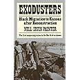 Exodusters: Black Migration to Kansas After Reconstruction: Painter ...