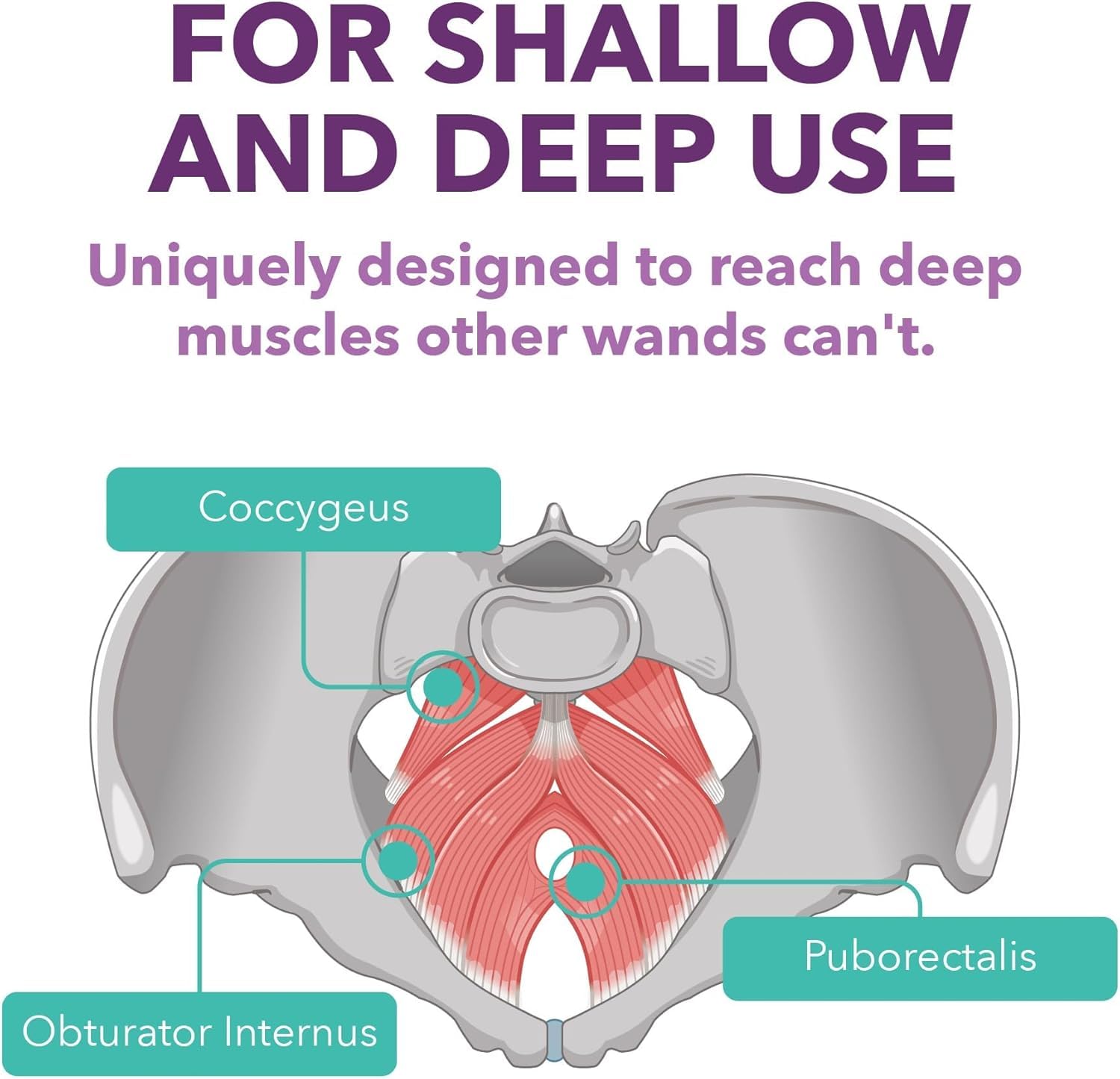 Mua IntimateRose Vibrating Pelvic Wand, Pelvic Floor Muscle Trigger ...