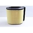 Amazon.com: Highfil Engine Air Filter : Automotive