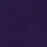 Amazon.com: Bazzill Basics Paper T19-10475 Prismatic Cardstock, 25 ...