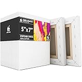 Amazon.com: LWR CRAFTS Stretched Canvas 6" X 8" Pack of 6