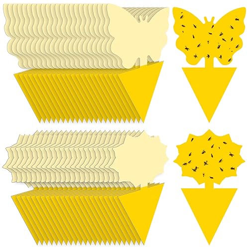 Landisun Fruit Fly Traps 48PCS Fungus Gnat-Traps for Indoor-Outdoor ...