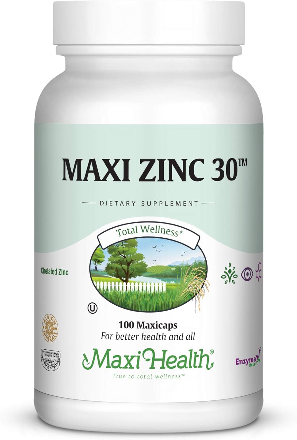 Amazon.com: Maxi-Health Zinc Vitamin – 30mg High Potency Pure Zinc ...