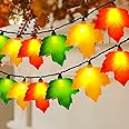 Amazon.com: Konictom Fall Leaf String Lights,8.5Ft Fall Outdoor Lights ...