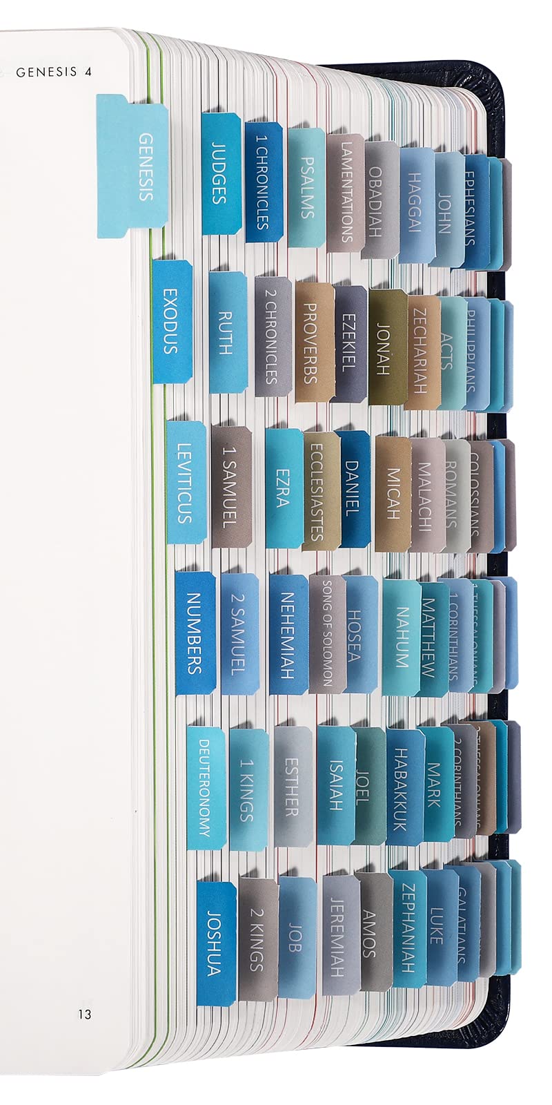 Laminated Bible Tabs for Men and Women (Large Print, Easy to Read ...