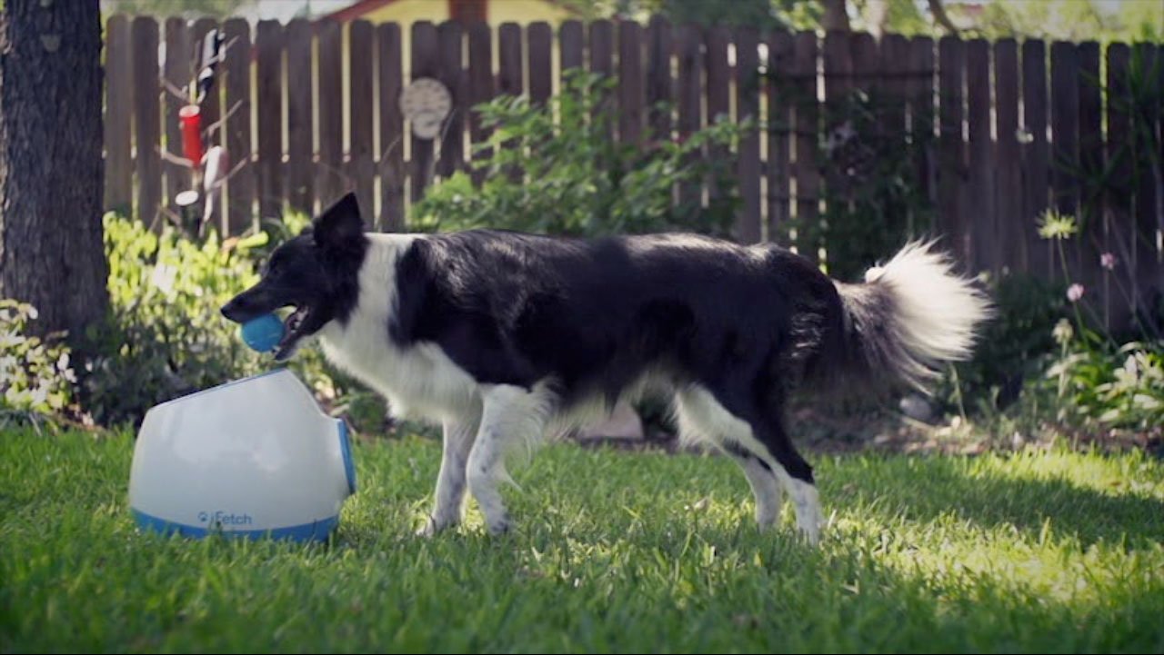 iFetch Too Interactive Ball Launcher for Dogs – Launches Standard Tennis Balls, Large