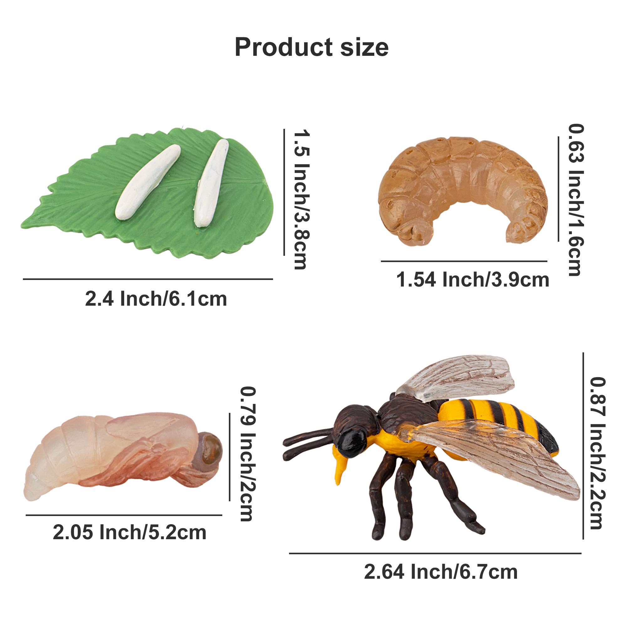 Mua TOYMANY 16PCS Insect Figurines Life Cycle of Stag Beetle,Honey Bee ...