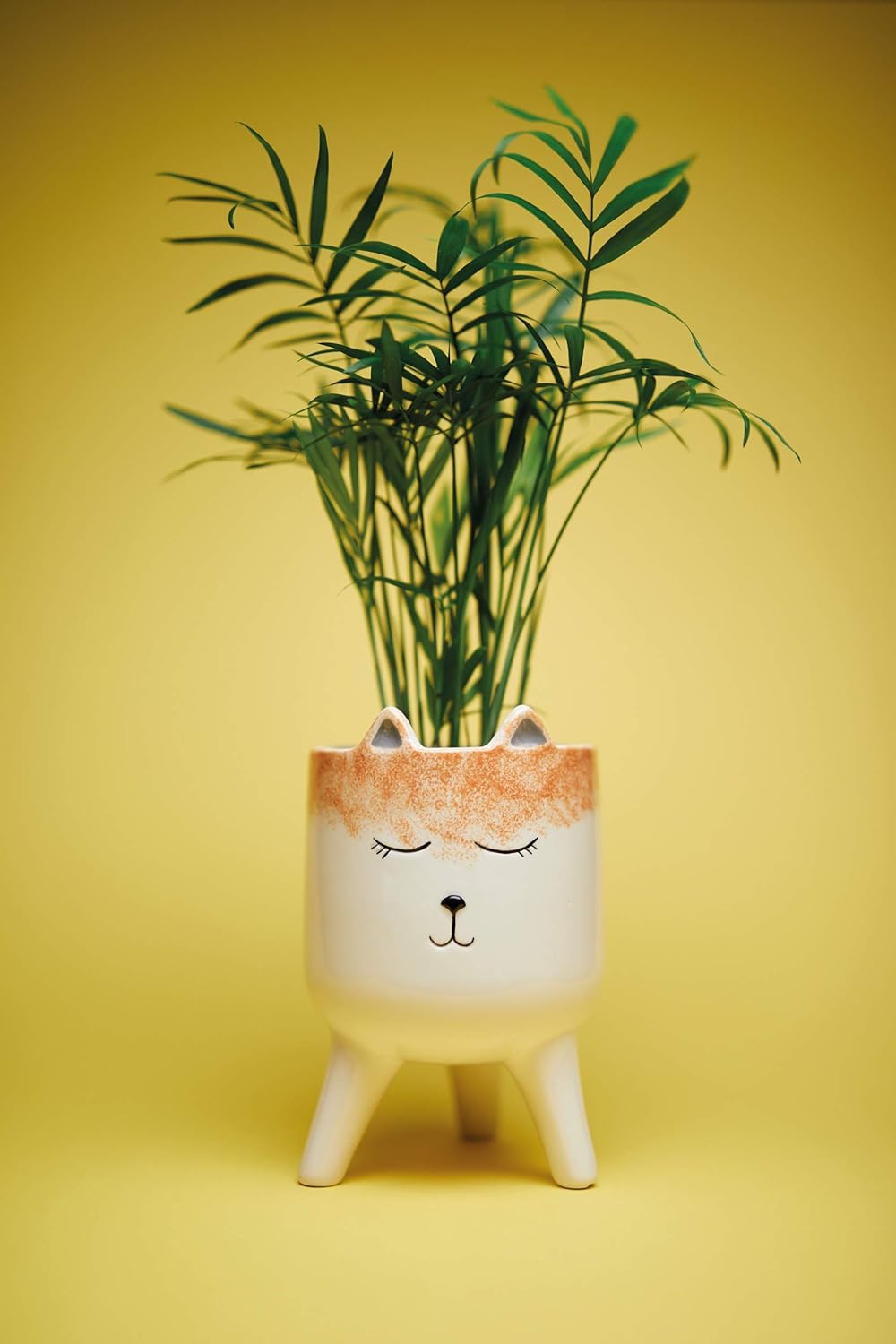 KitchenCraft Small Indoor Plant Pot, Decorative Fox Design, Ceramic ...