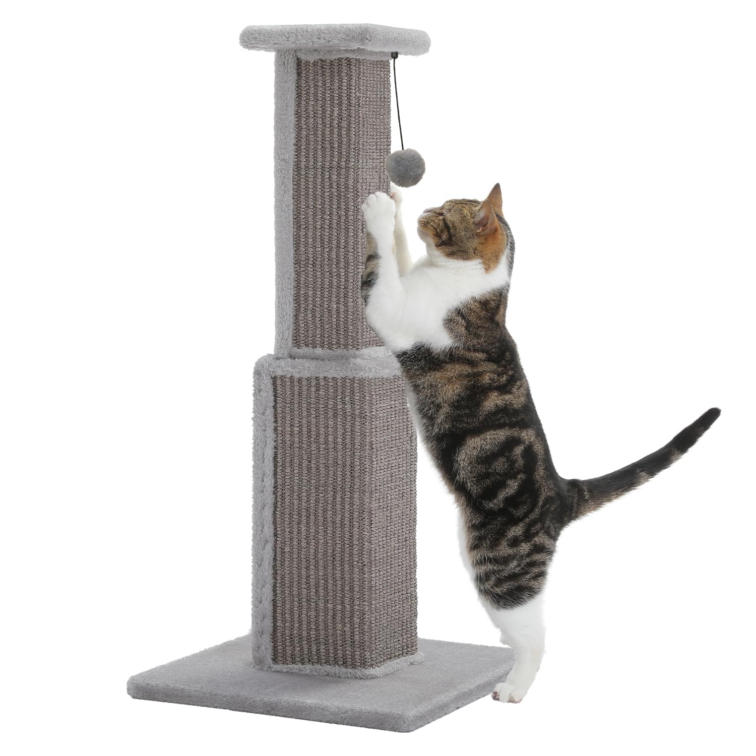 PAWZ Road Large Cat Scratching Post 32” Tall Scratching Post for Indoor ...